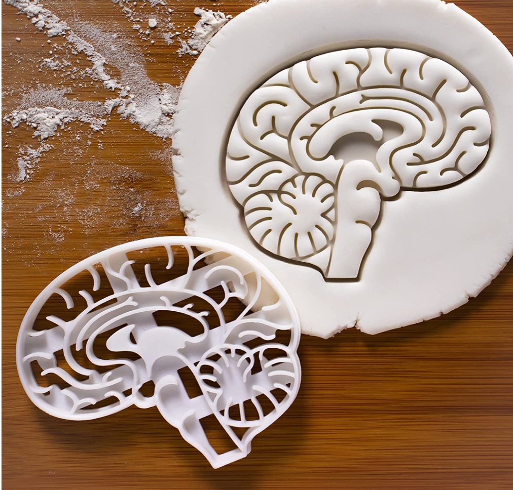 Brain Stem Cookie Cutter – Gifts for Icons